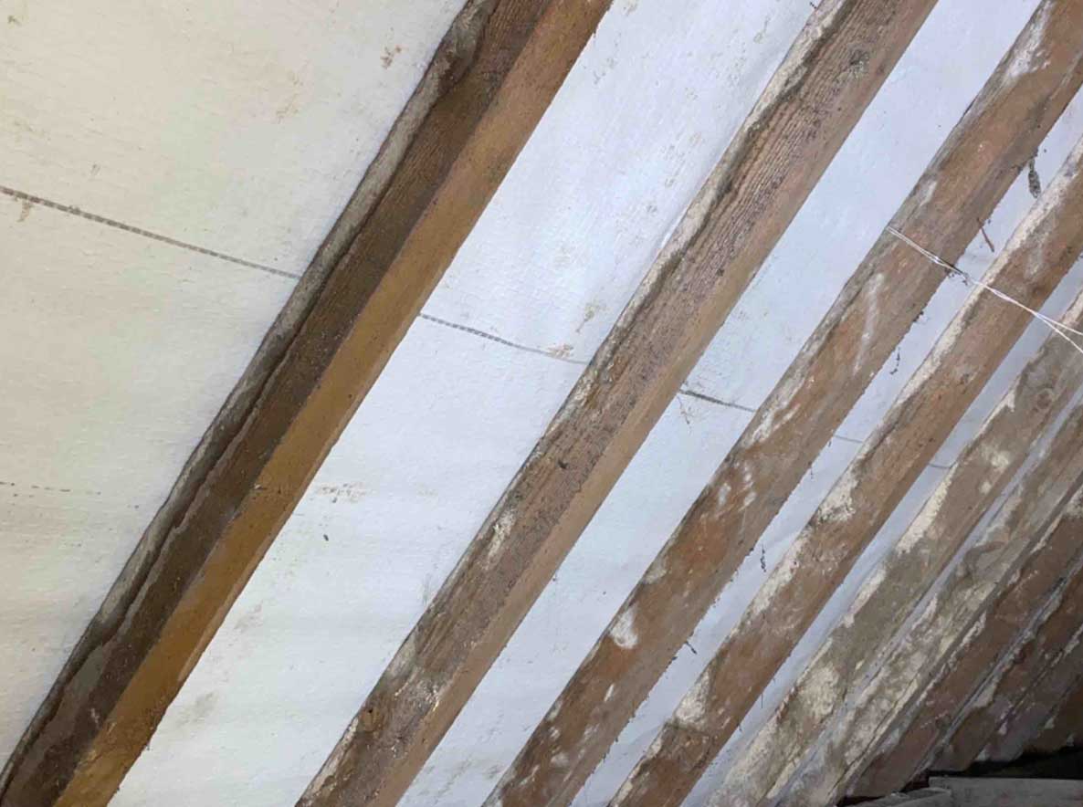 What Causes Mould In The Loft? - Nutec Space Wrap